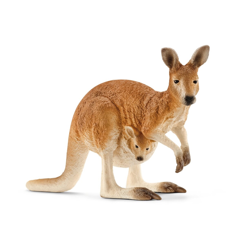 Schleich – Kengur