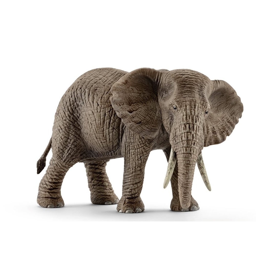Schleich – Africki slon, zenka