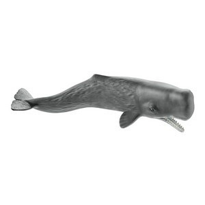 Schleich – Kit