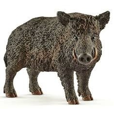 Schleich – Divlja svinja