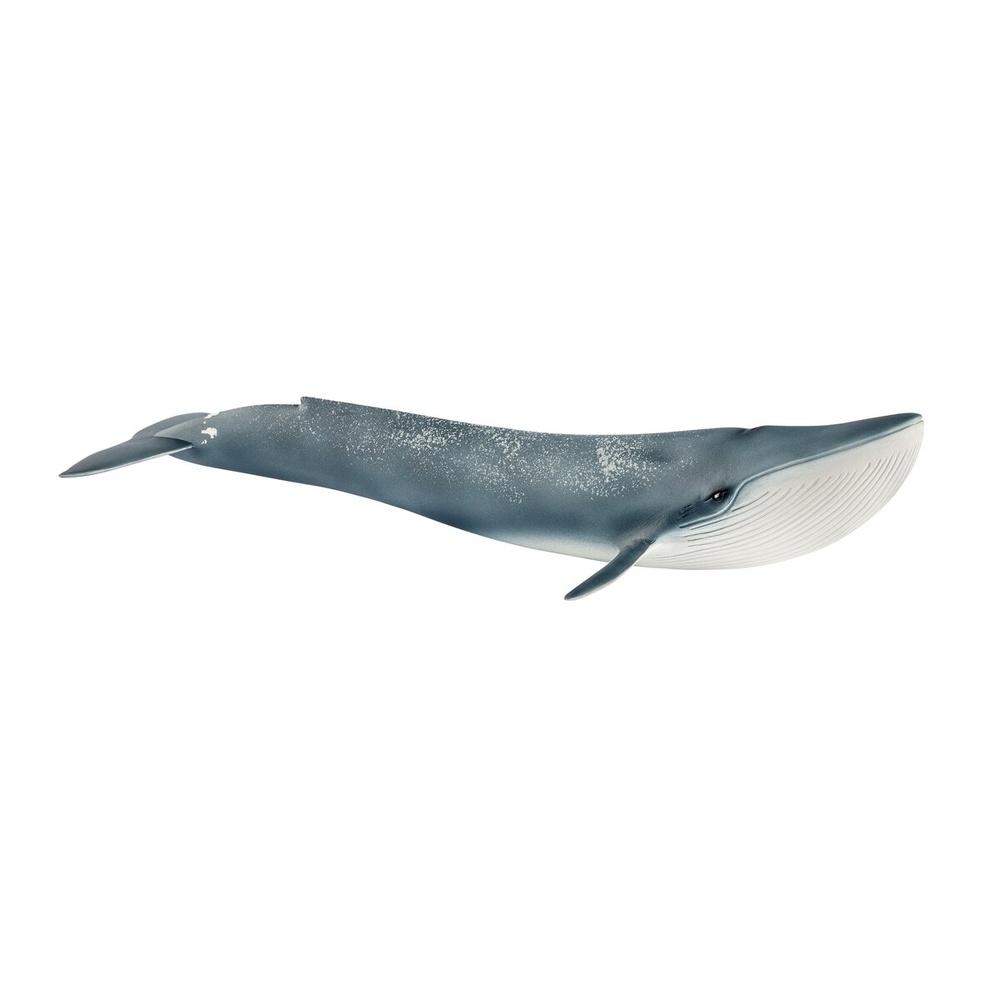 Schleich – Plavi kit