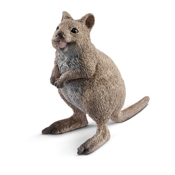 Schleich – Quokka