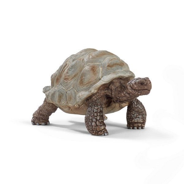 Schleich – Dzinovska kornjaca