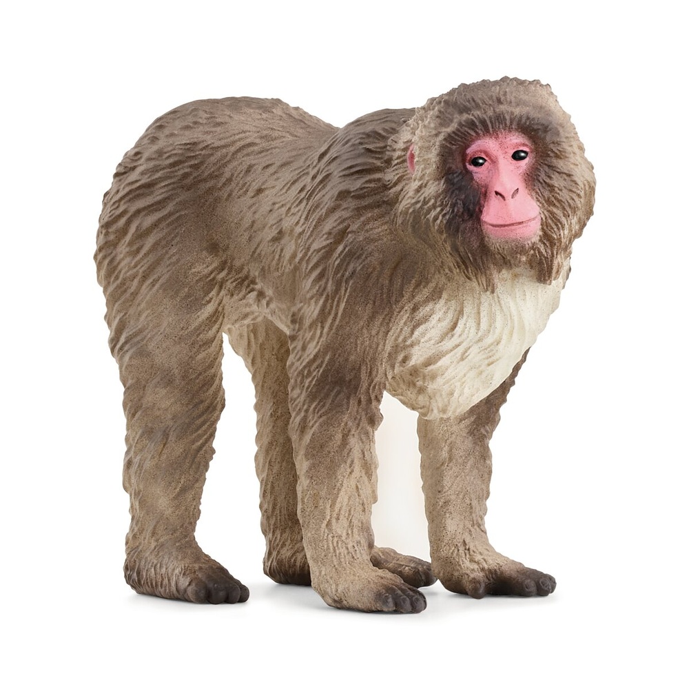 Schleich – Japanski majmun