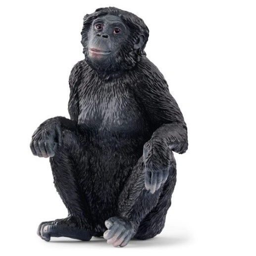 Schleich – Banobo majmum