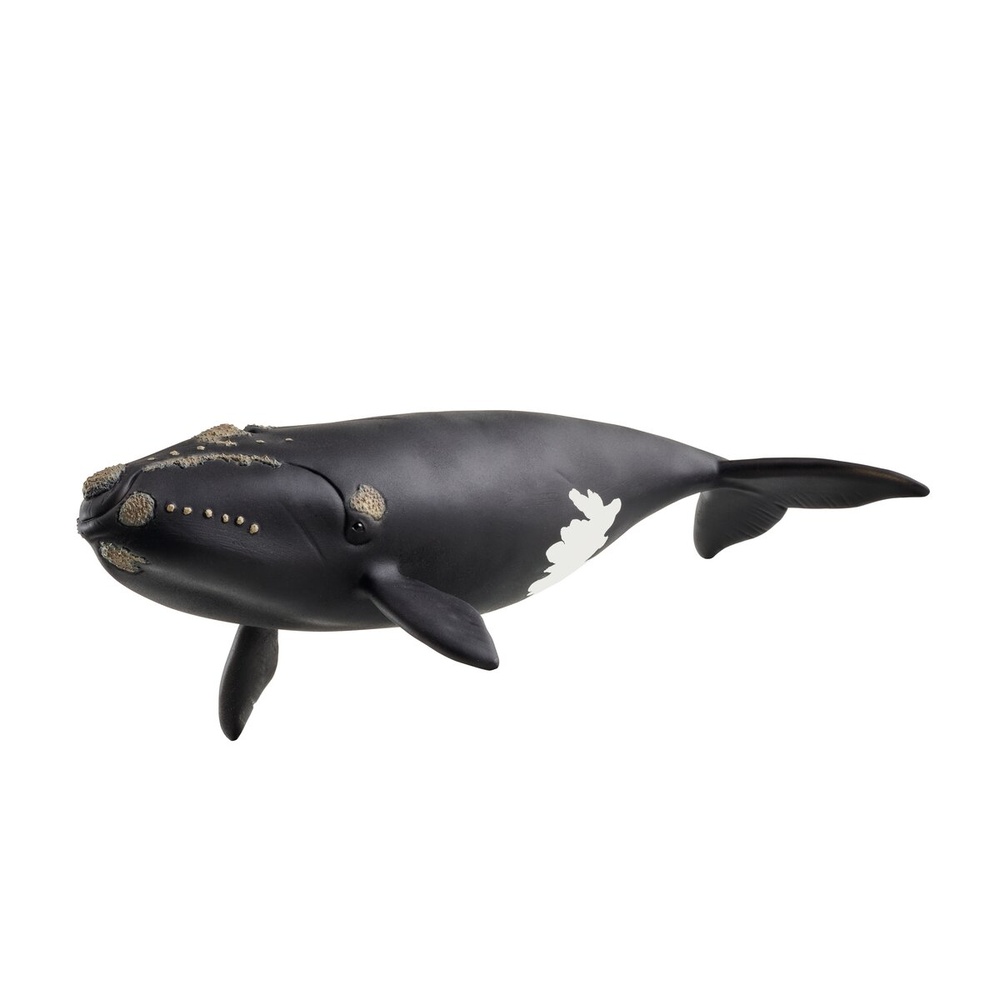 Schleich – Kit