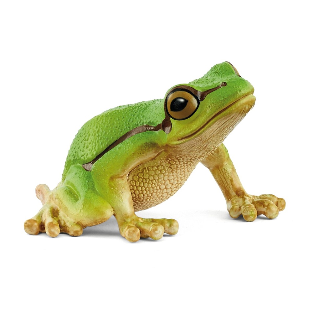 Schleich – Evropska žaba