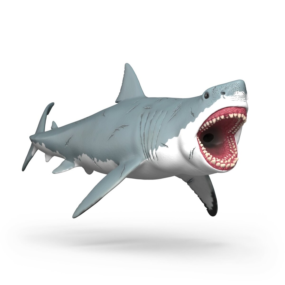 Schleich – Megalodon