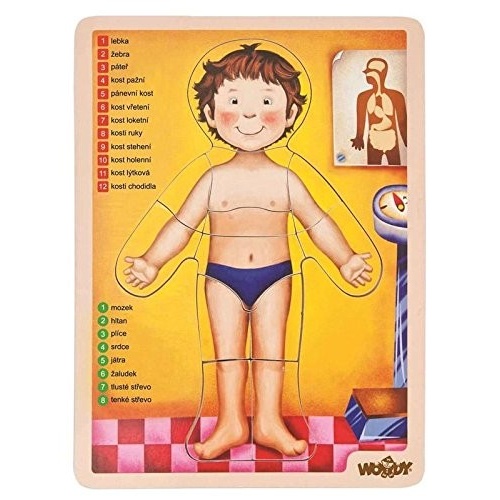 Woody – Puzzle “human body”
