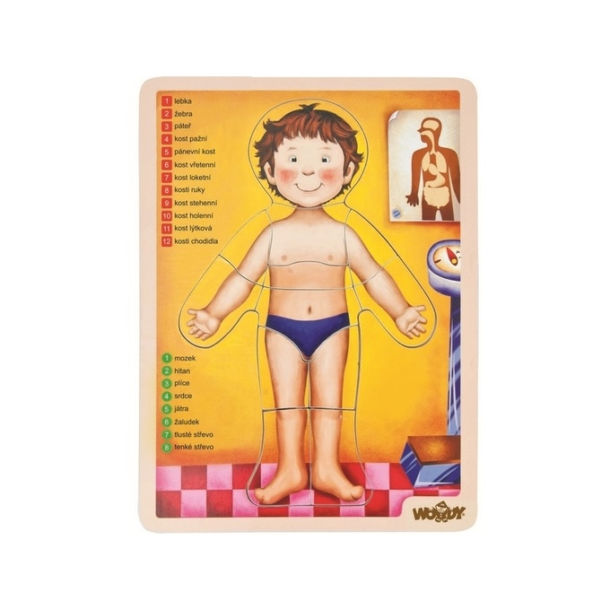 Woody – Puzle -ljudsko telo- enleska verzija