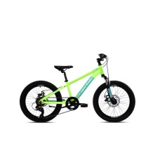 CAPRIOLO MTB LC 200 20'' 6AL zeleno 925517-11