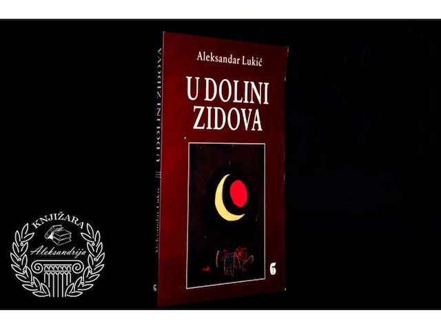 U DOLINI ZIDOVA - Aleksandar Lukić