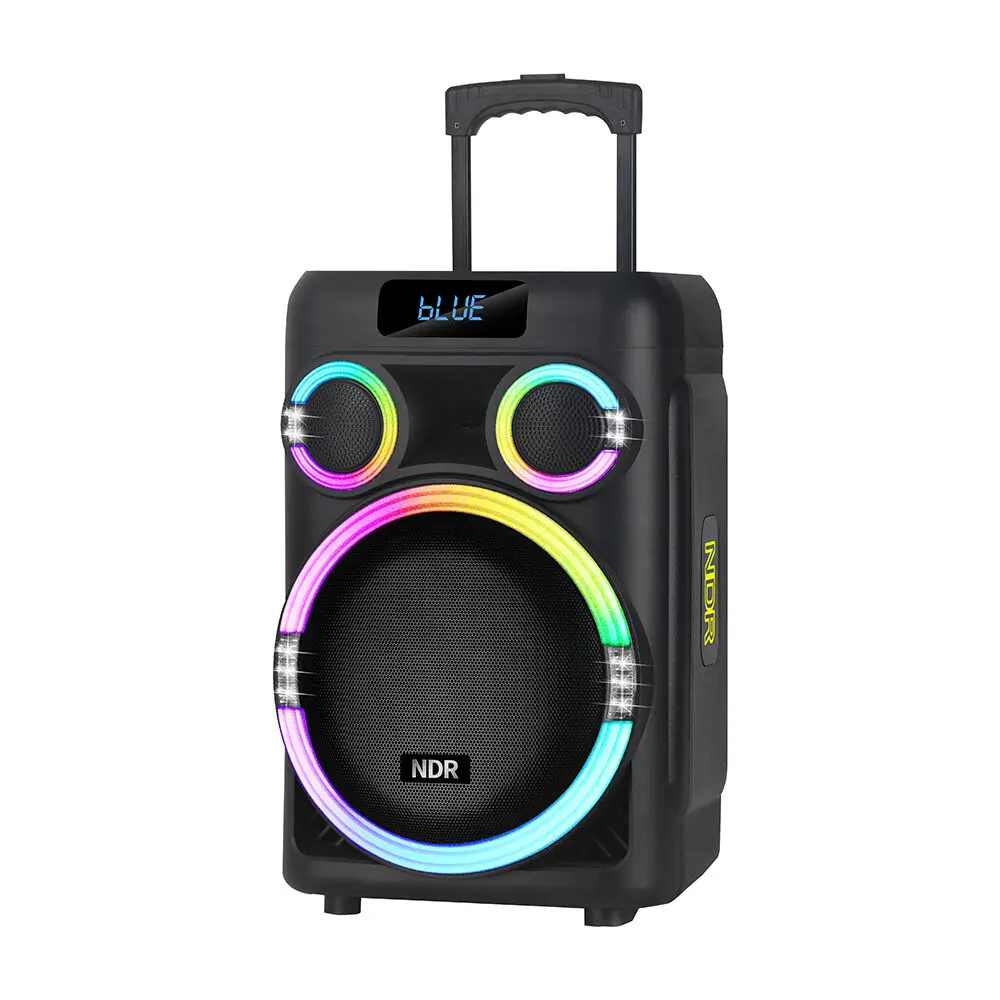 NDR Bluetooth zvučnik NDR-B315, 60W, 15", 2 mikrofona, Crni