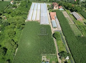Prodaja Građevinsko zemljište - Beograd, Palilula: Krnjača - Kotež - Ovča