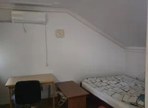 Prodaja Garsonjera - Novi Sad, Socijalno - Rotkvarija