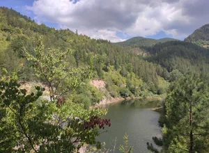 Prodaja Plac - Bajina Bašta, Zaovine