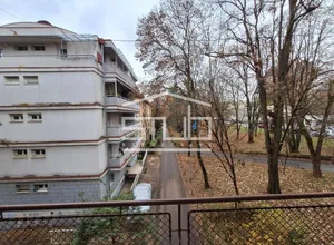Izdavanje Stan - Beograd, Savski Venac: Dedinje