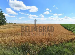Prodaja Građevinsko zemljište - Beograd, Surčin Centar