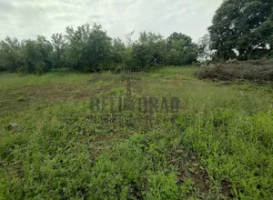Prodaja Građevinsko zemljište - Beograd, Barajevo Centar