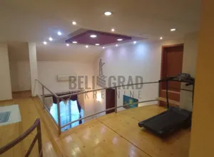 Prodaja Vila - Beograd, Mladenovac Centar