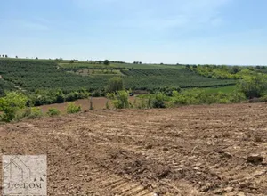 Prodaja Plac - Irig, Centar