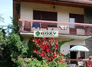 Prodaja Vila - Kraljevo, Centar