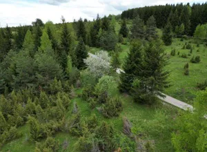 Prodaja Plac - Nova Varoš