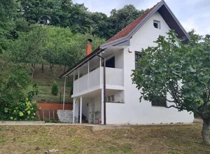 Prodaja Vila - Irig, Vrdnik