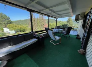 Prodaja Vila - Novi Sad