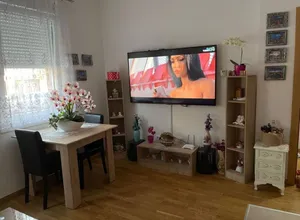 Izdavanje Stan - Novi Sad, Salajka