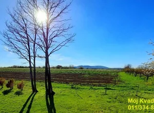 Prodaja Građevinsko zemljište - Beograd, Koraćica - Kosmaj
