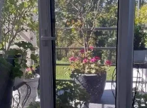 Prodaja Vila - Beograd, Savski Venac: Dedinje