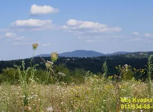Prodaja Građevinsko zemljište - Beograd, Barajevo: Vranić - Baćevac - Lisović