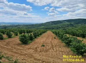 Prodaja Građevinsko zemljište - Beograd, Koraćica - Kosmaj