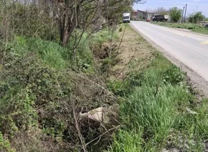 Prodaja Građevinsko zemljište - Beograd, Surčin Centar