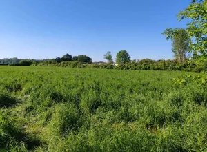Prodaja Građevinsko zemljište - Lajkovac