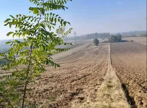Prodaja Plac - Beograd, Obrenovac: Draževac - Konatice