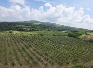 Prodaja Građevinsko zemljište - Beograd, Sopot: Rogača - Parcani - Stojnik