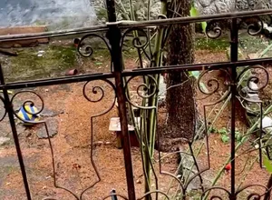 Prodaja Stan - Beograd, Vračar: Kalenić - Slavija - Cvetni Trg