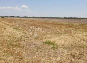 Prodaja Građevinsko zemljište - Beograd, Surčin: Bečmen - Dobanovci - Radiofar