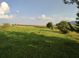 Prodaja Plac - Užice, Kremna, Radusa