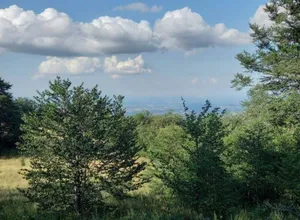 Prodaja Plac - Kraljevo, Ratina