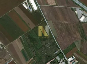 Prodaja Građevinsko zemljište - Novi Sad, Kovilj - Fruška Gora