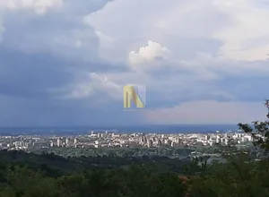 Prodaja Vila - Novi Sad, Stari Grad: Centar - Novi Bulevar