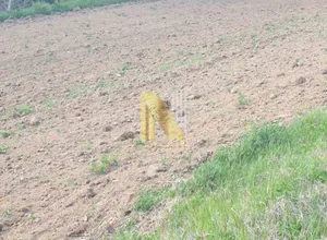 Prodaja Građevinsko zemljište - Novi Sad, Stari Grad: Centar - Novi Bulevar