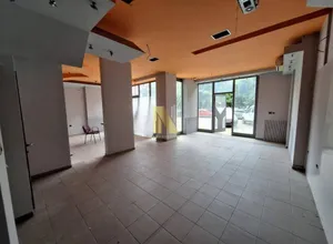 Izdavanje Lokal - Novi Sad, Bistrica - Bulevar