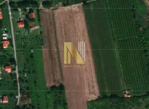 Prodaja Građevinsko zemljište - Novi Sad, Novi Majur - Blok 8