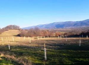 Prodaja Građevinsko zemljište - Kruševac