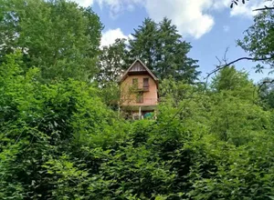 Prodaja Vila - Mionica
