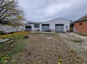 Izdavanje Zgrada - Kovin, Plocica, Skorenovac